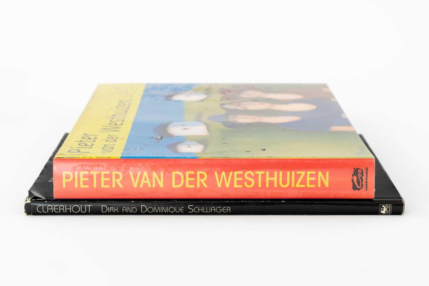 Lot 198 - Two books on South African Artists Pieter